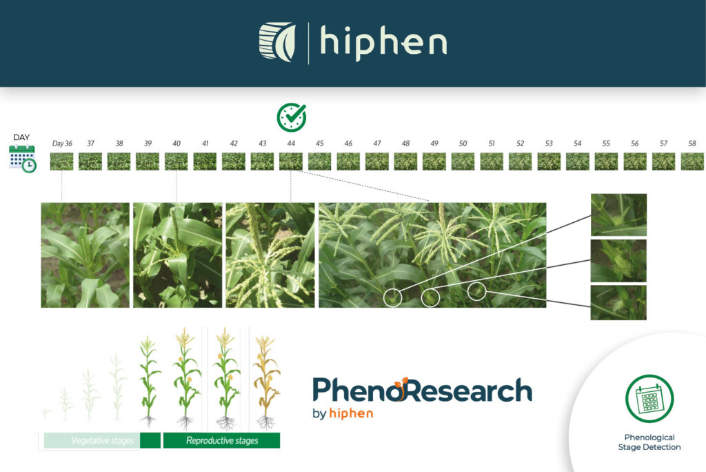 Phenotyping Use Cases – Crop Insights
