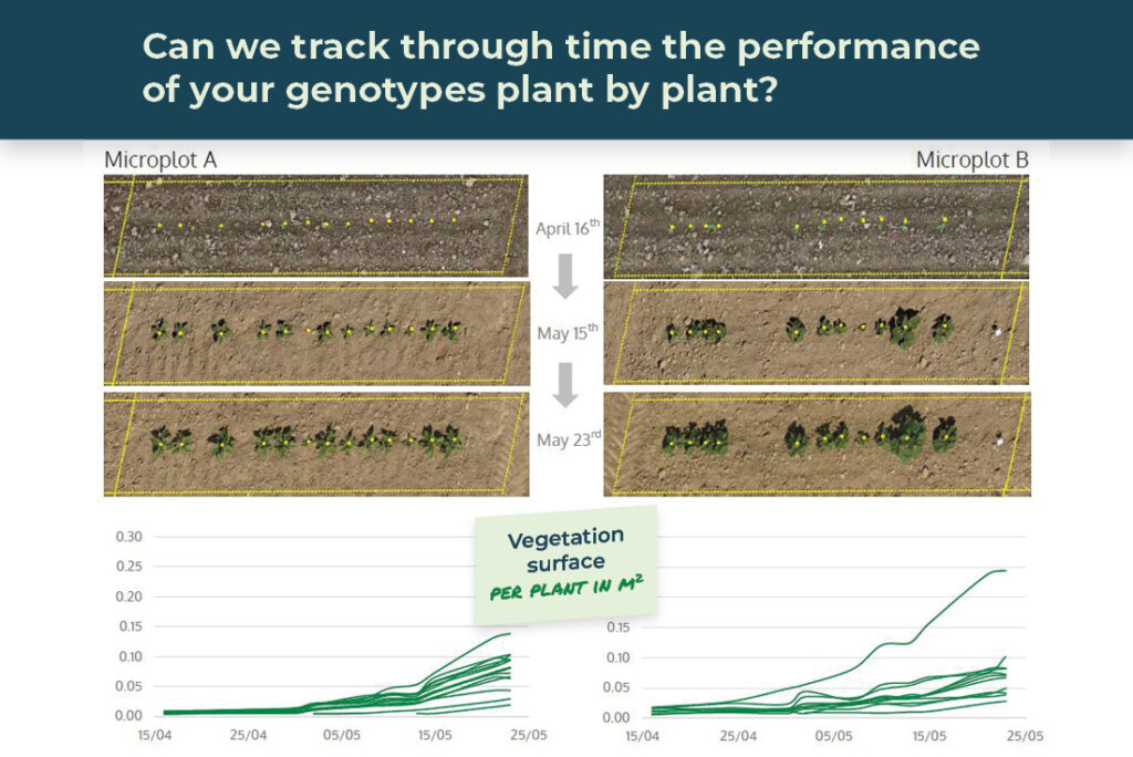 Phenotyping Use Cases – Crop Insights