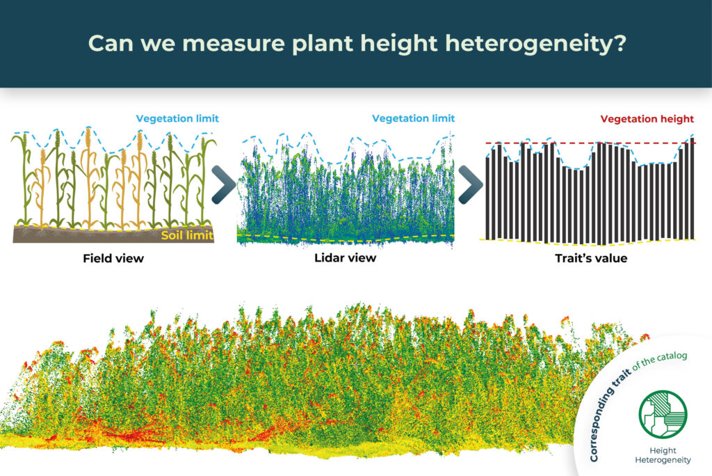 Phenotyping Use Cases – Crop Insights